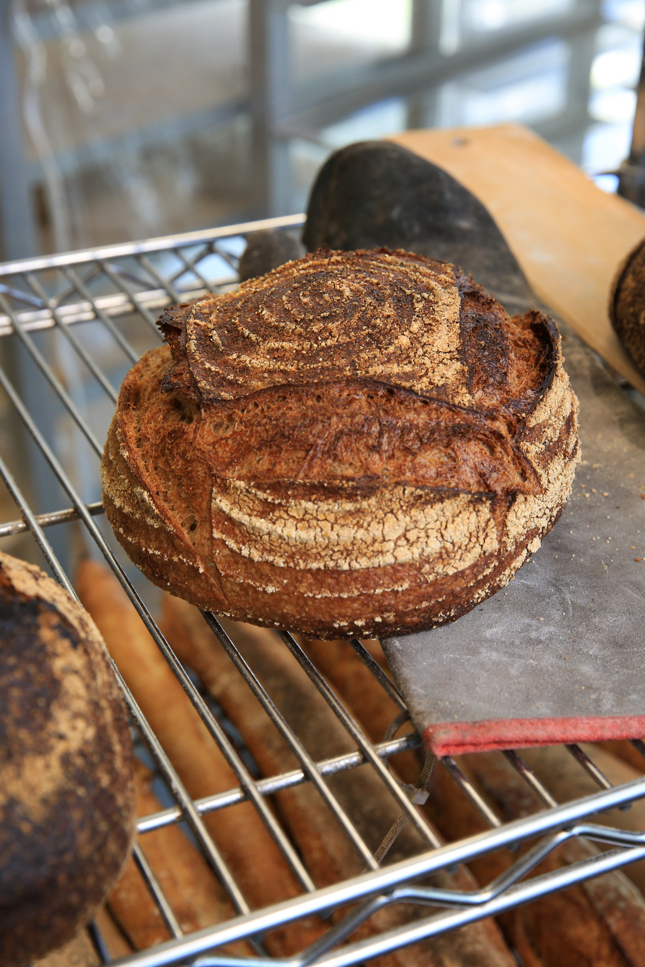 Fruit & Nut Rustic Loaf (Friday - Sunday Only) | Madruga Bakery