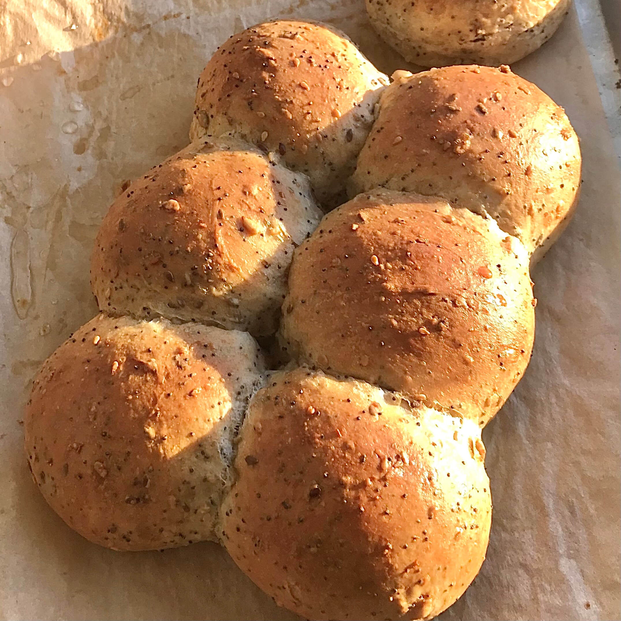 Seeded Dinner Rolls 1/2 doz (holiday) | Madruga Bakery